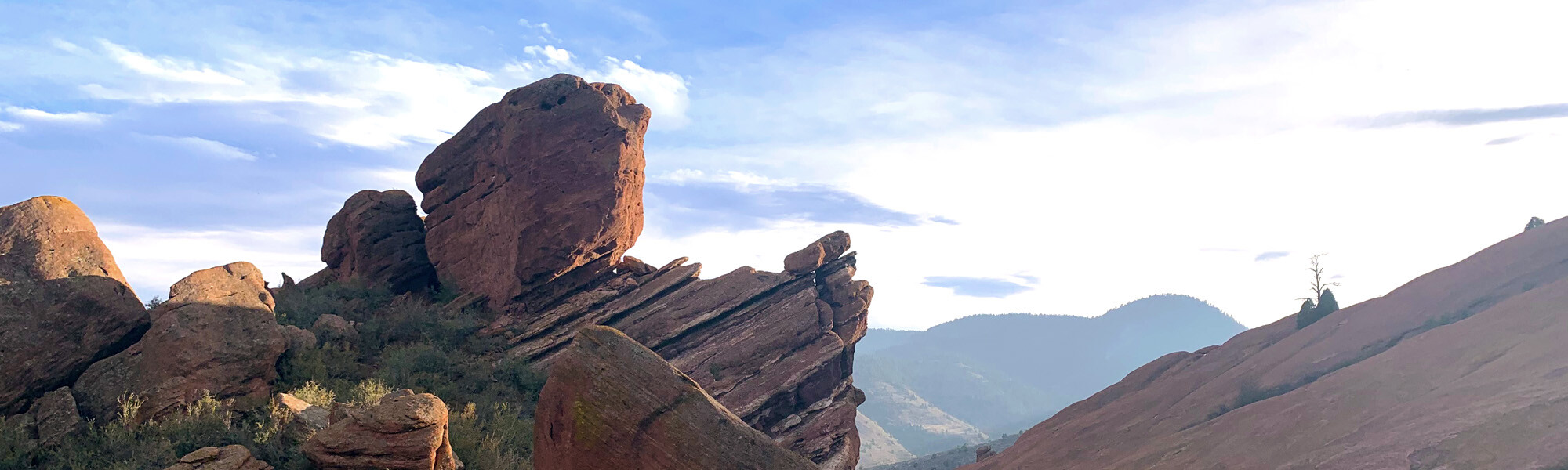 The Advance - Primitive Spark