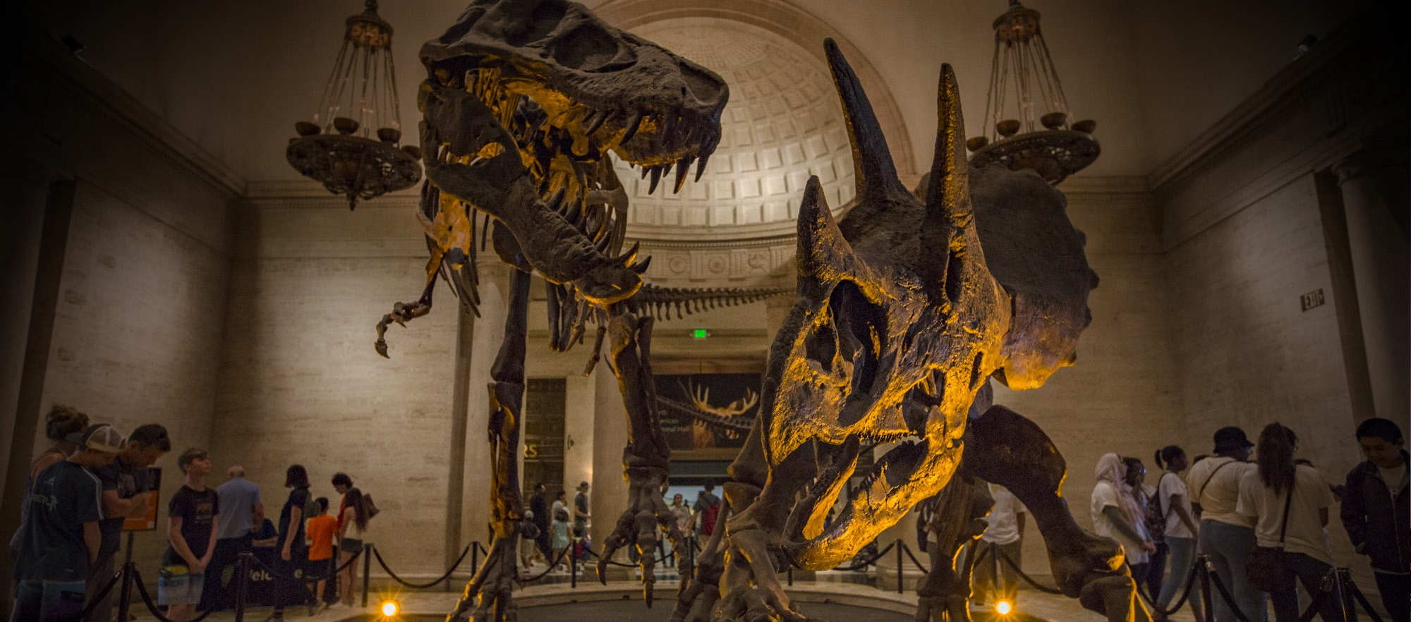 Natural History Museum LA - Primitive Spark